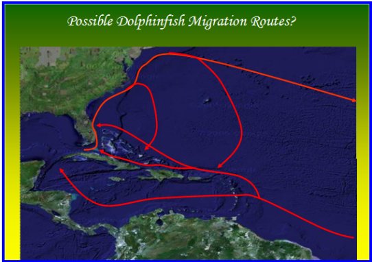 Hilton Head Reef Association