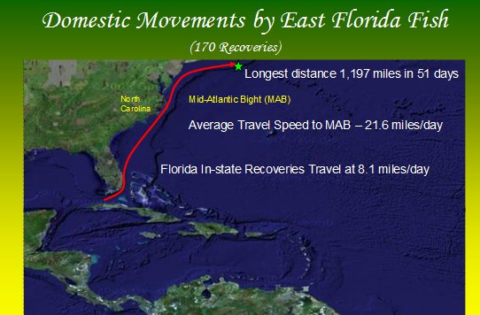 Hilton Head Reef Association